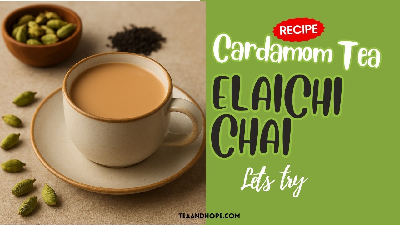 Elaichi Chai Recipe – How to Make Perfect Indian Cardamom Tea