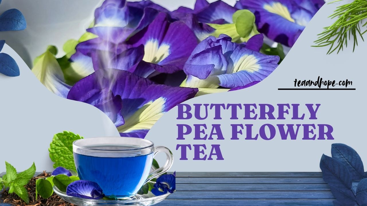Butterfly Pea Flower Tea: Benefits, Uses & Easy Blue Tea Recipe