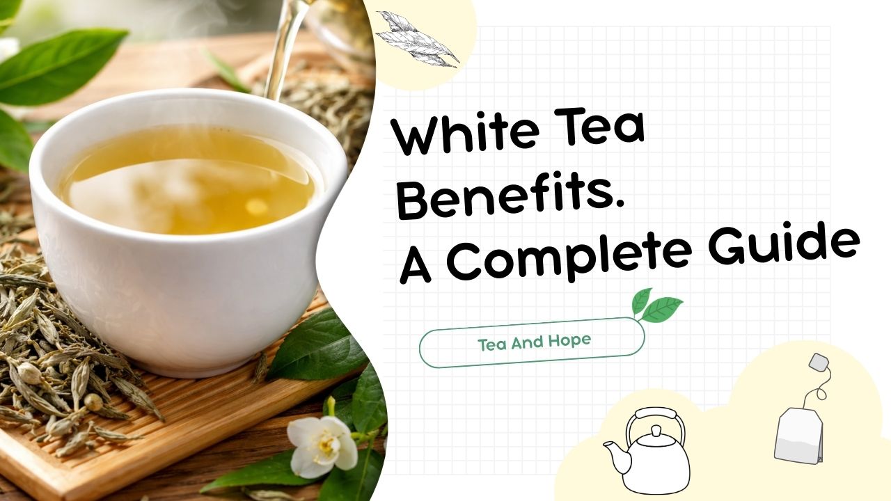 White Tea Benefits Explained: A Complete Guide