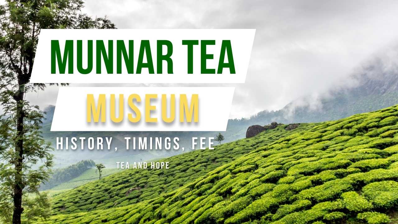 Munnar Tea Museum (Tata / KDHP): History, Timings & Ticket Price