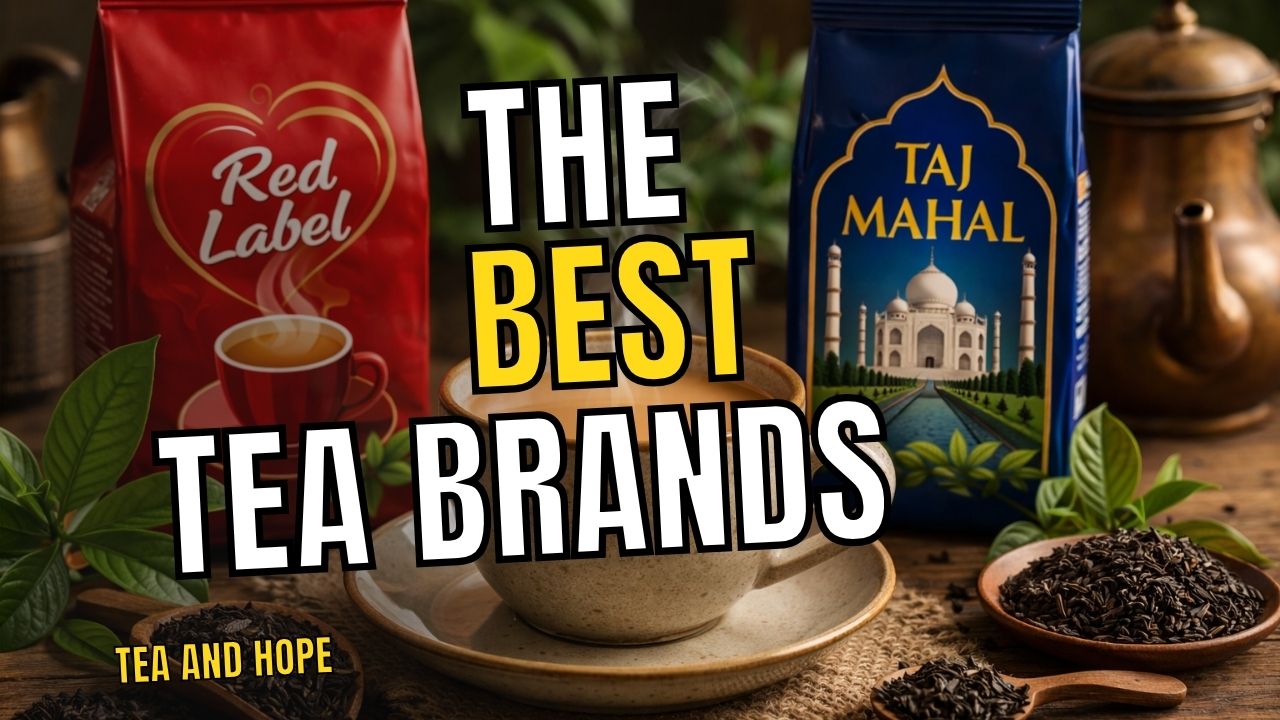 Which Tea Brand Is Best in India? Honest Guide for Chai Lovers
