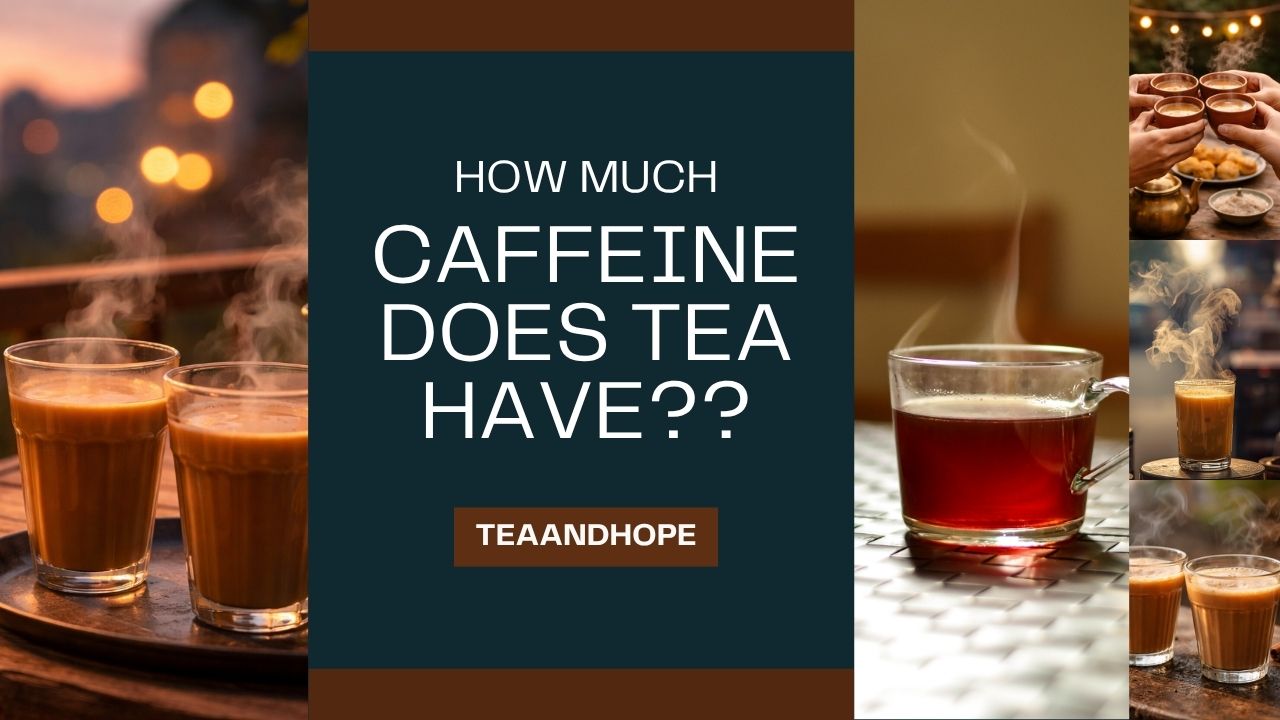 How Much Caffeine Does Tea Have? Types, Levels, and Effects